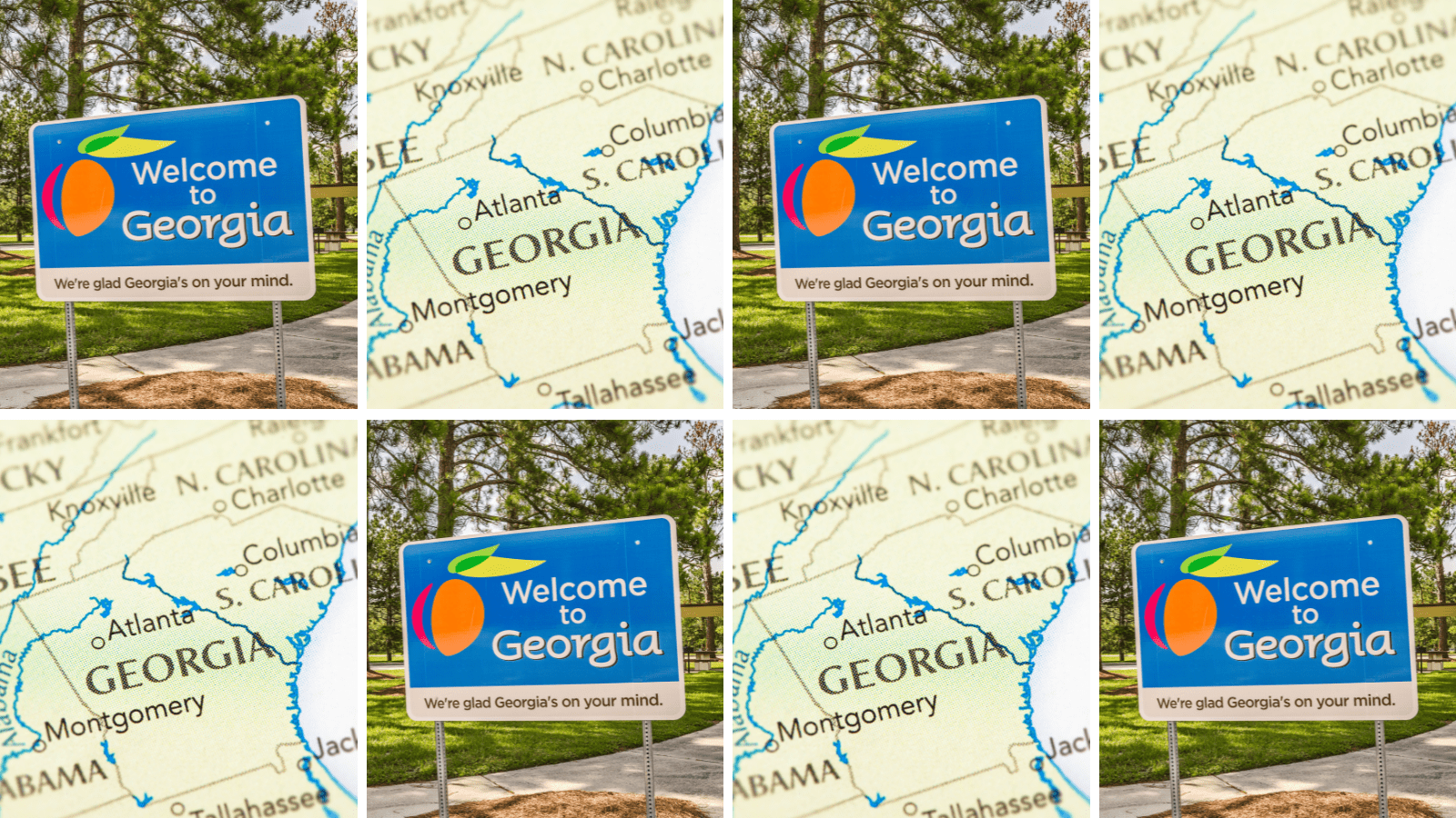 State Infrastructure Project - Georgia | National Institute for ...