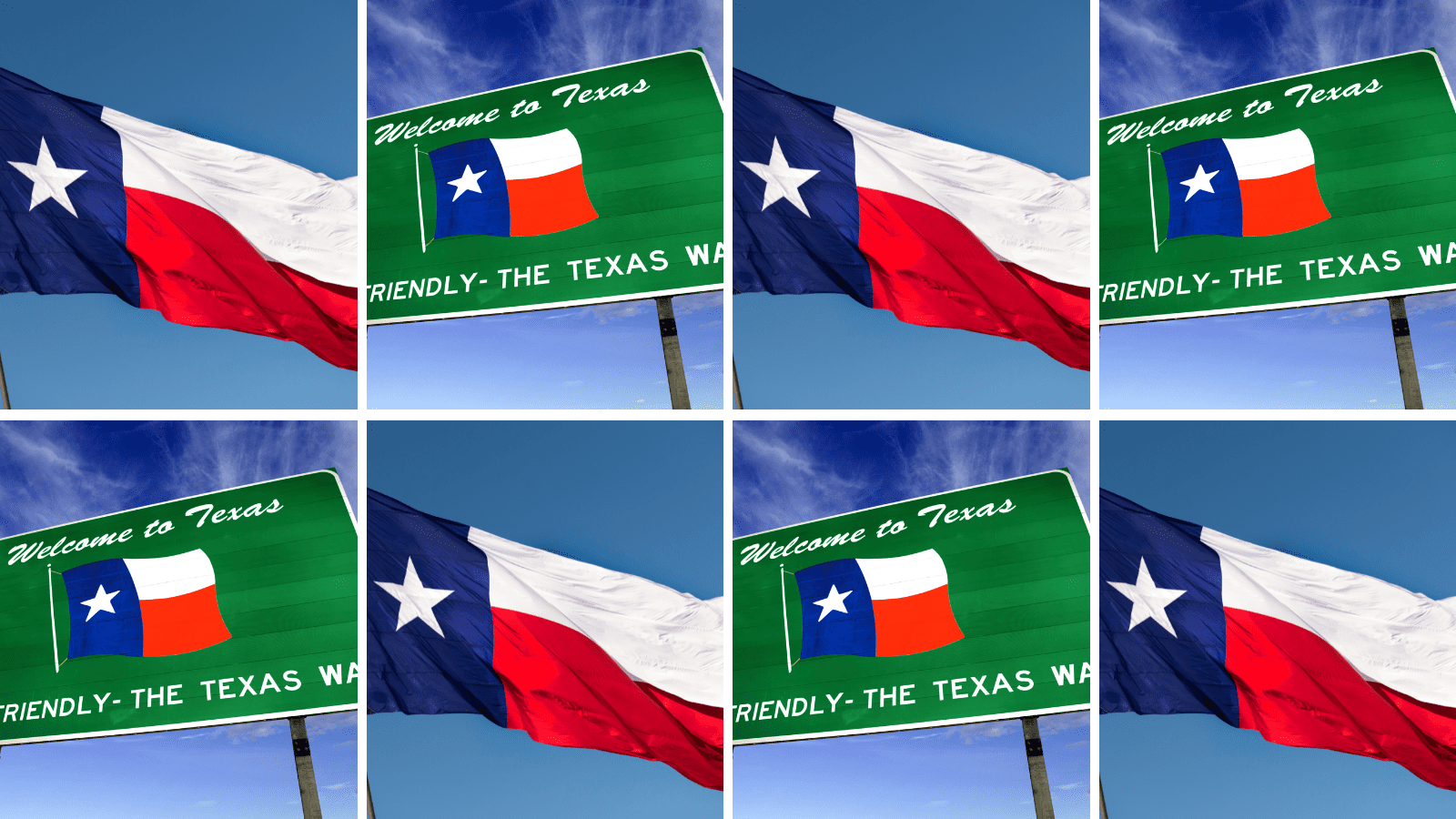 State Infrastructure Project - Texas | National Institute for ...