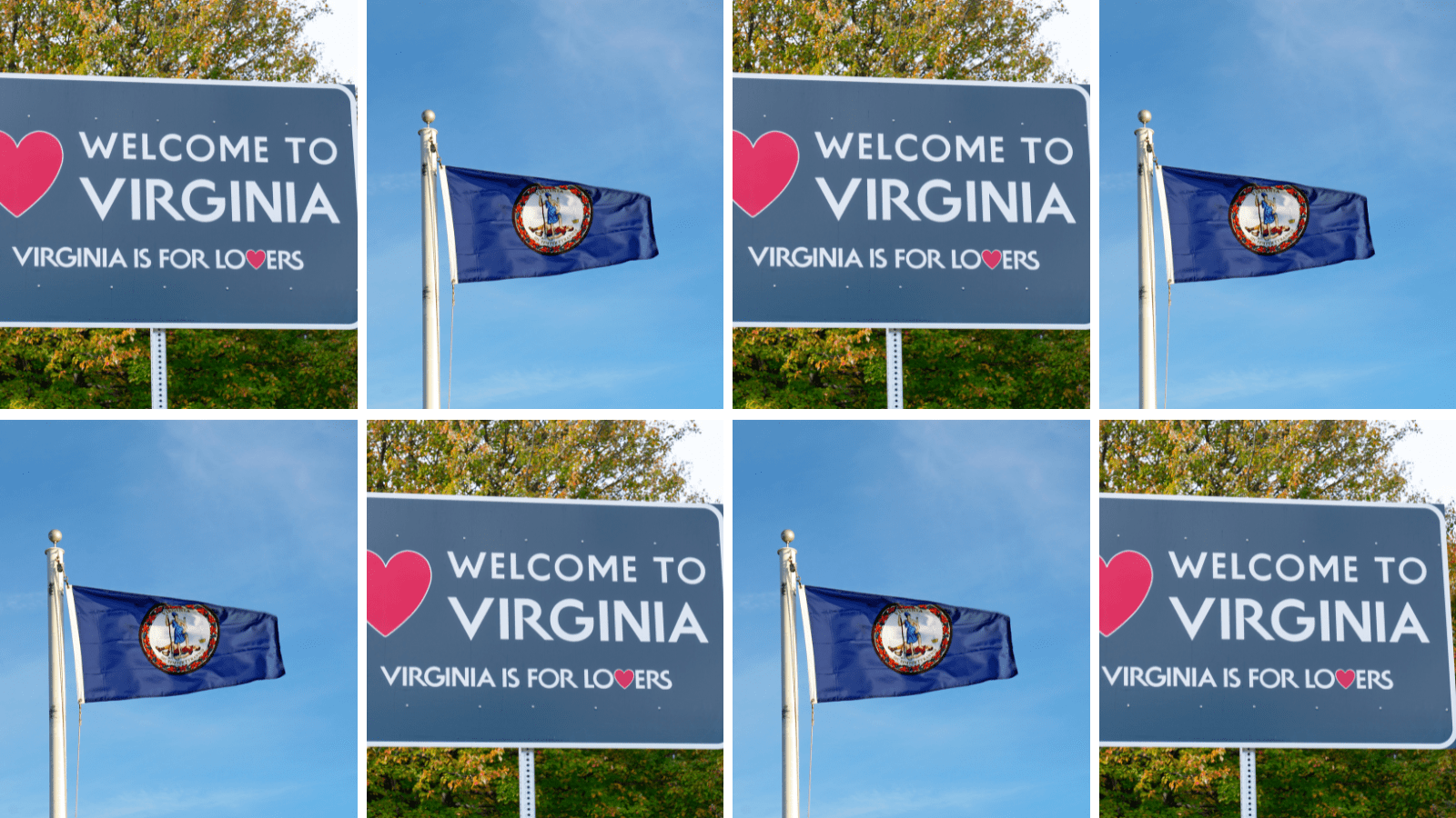 State Infrastructure Project - Virginia | National Institute for ...